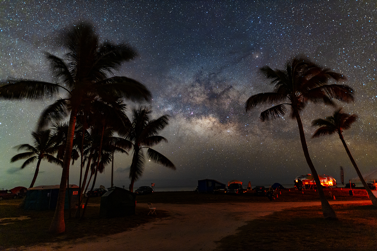 Blog – Bisque.com 2025